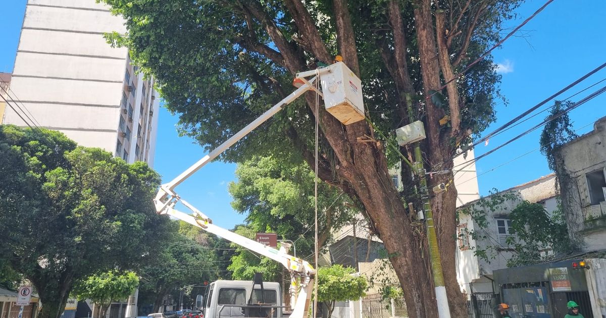 Árvores das avenidas Nazaré e José Malcher recebem poda a partir de ...