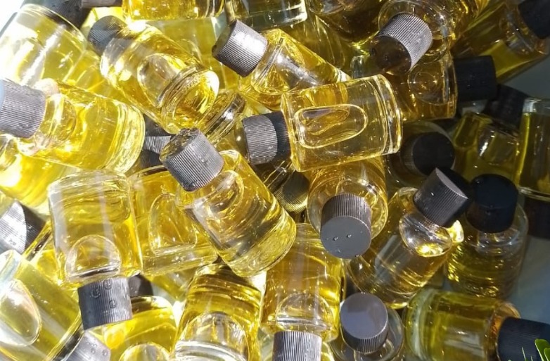 Produção de óleo de andiroba conecta comunidades ribeirinhas e preserva ...