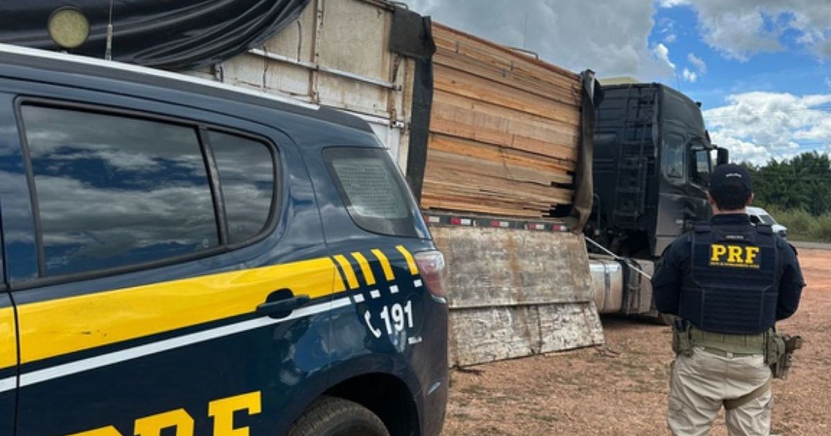 PRF apreende carga irregular de madeira durante fiscalização na BR-230 ...